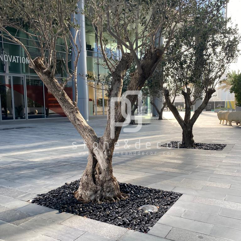 Black Pebble – Polished | PG Stone & Decor